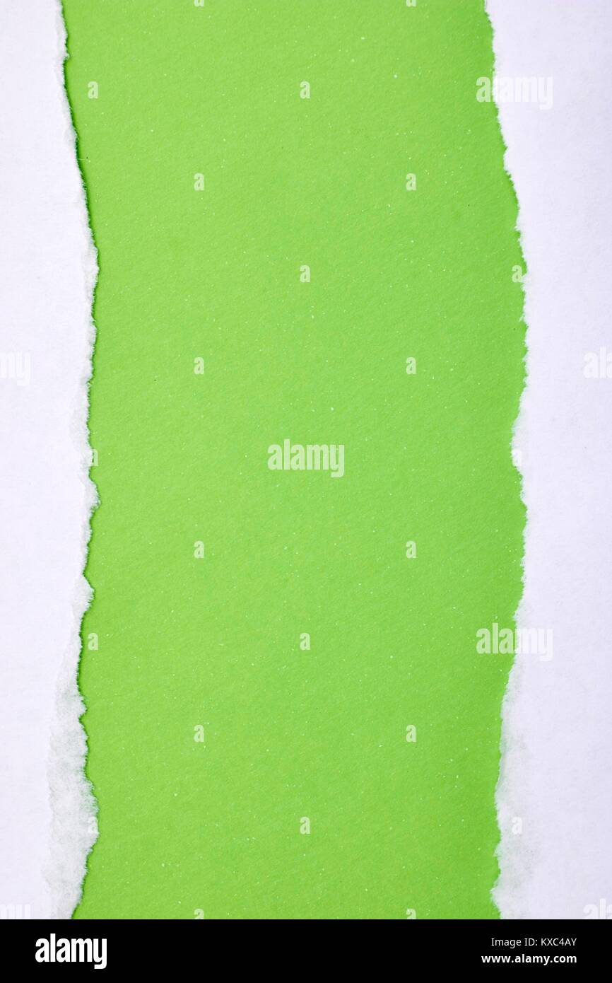A studio photo of torn paper Stock Photo - Alamy
