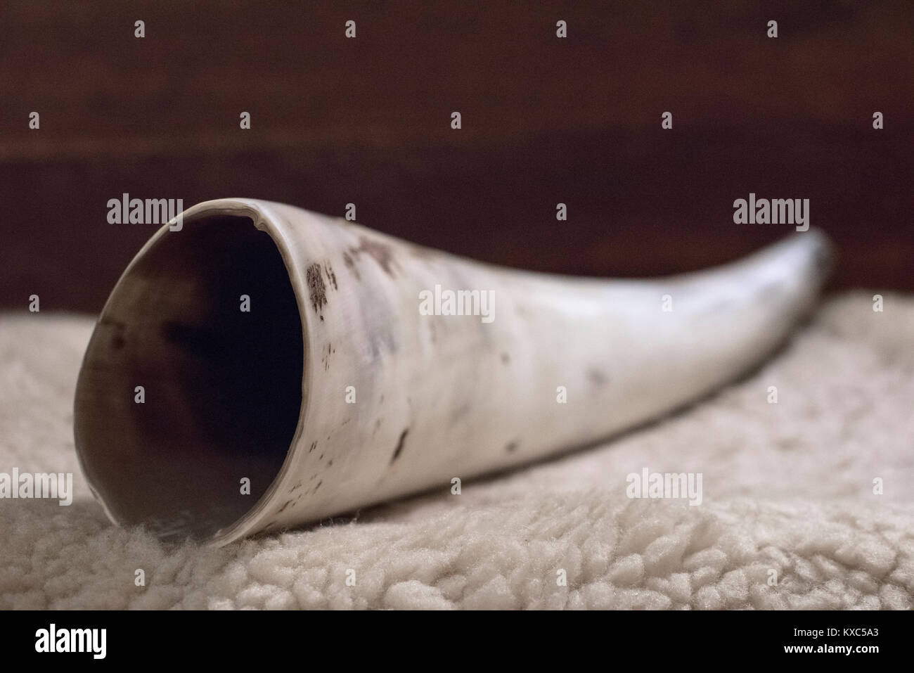 Blowing Horn High Resolution Stock Photography and Images - Alamy