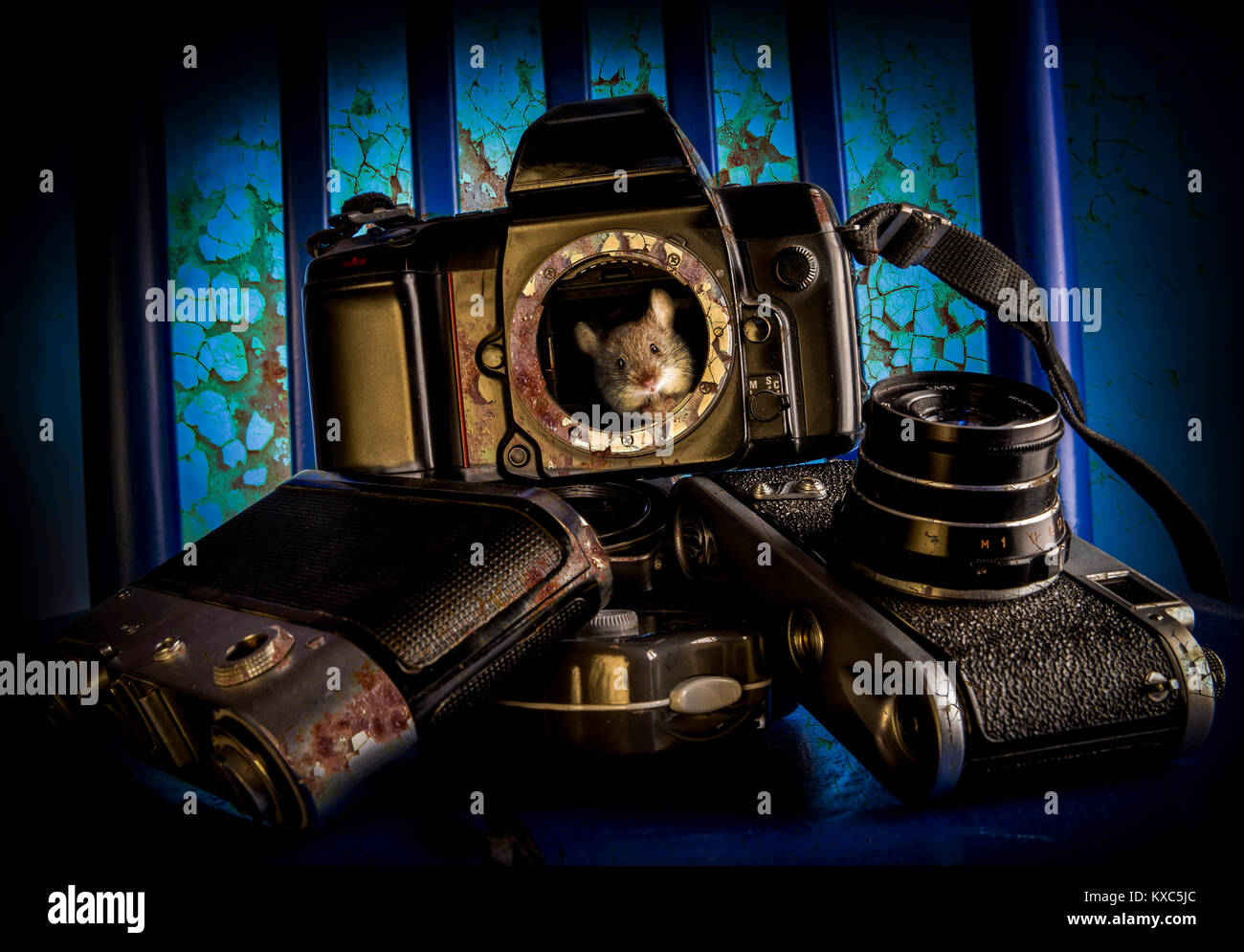 Grunge composition from old cameras Stock Photo - Alamy