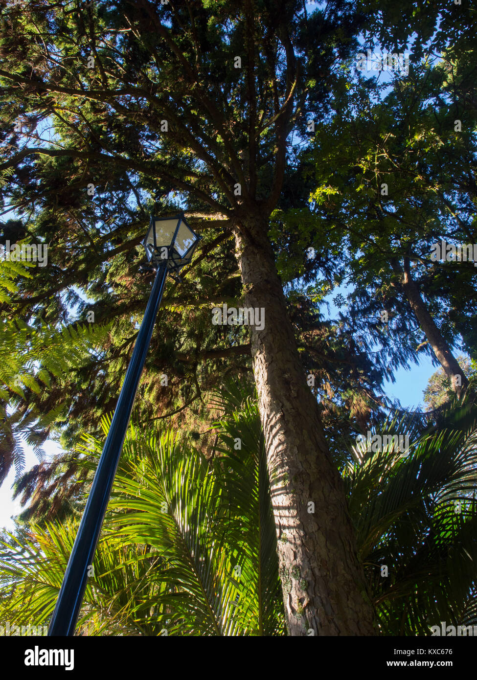 Nature lighting hi-res stock photography and images - Alamy