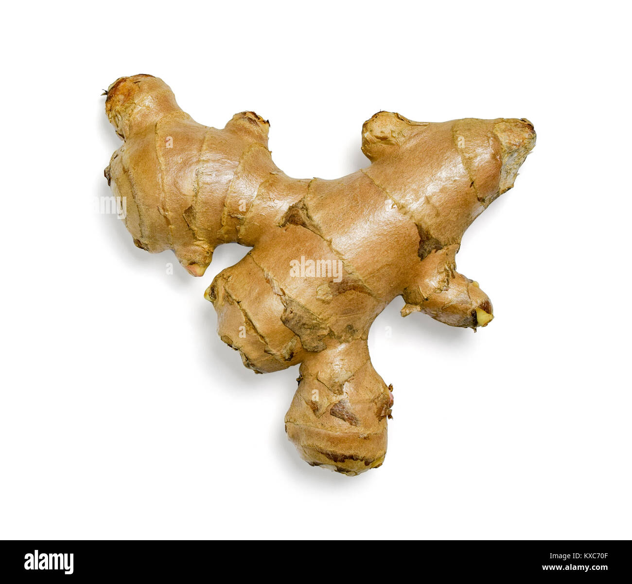 Ginger isolated on a white background - top view Stock Photo - Alamy