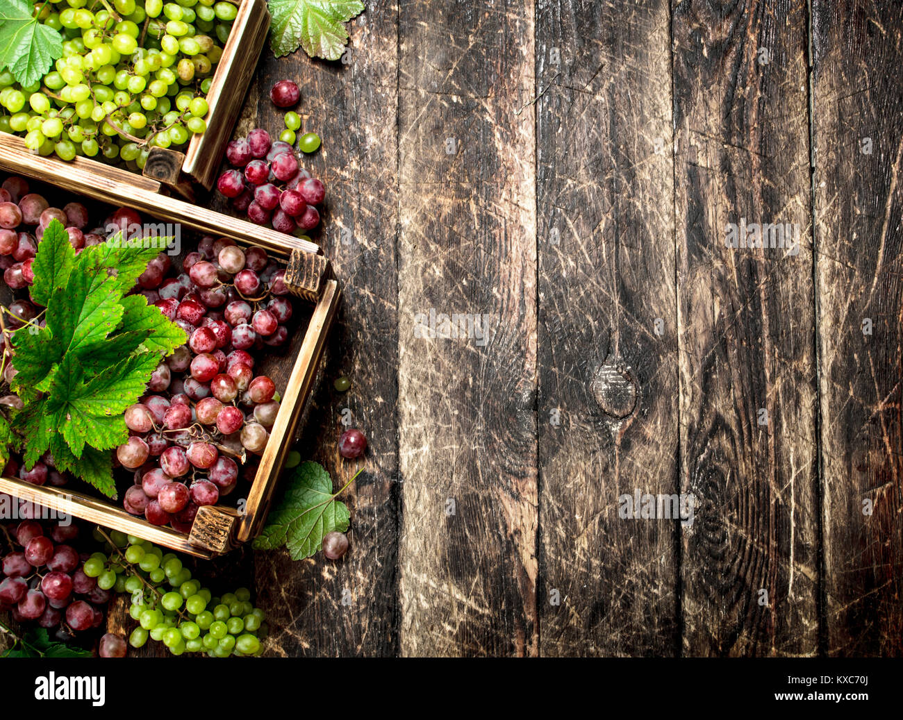 Grapes in boxes hi-res stock photography and images - Alamy