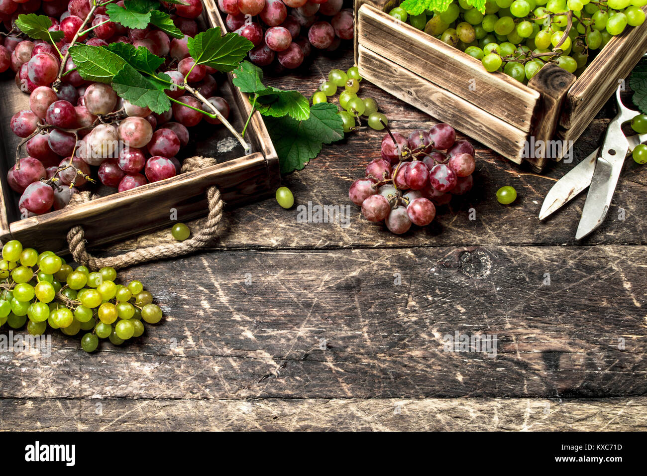 fresh harvest of grapes in boxes. On a wooden background Stock Photo ...
