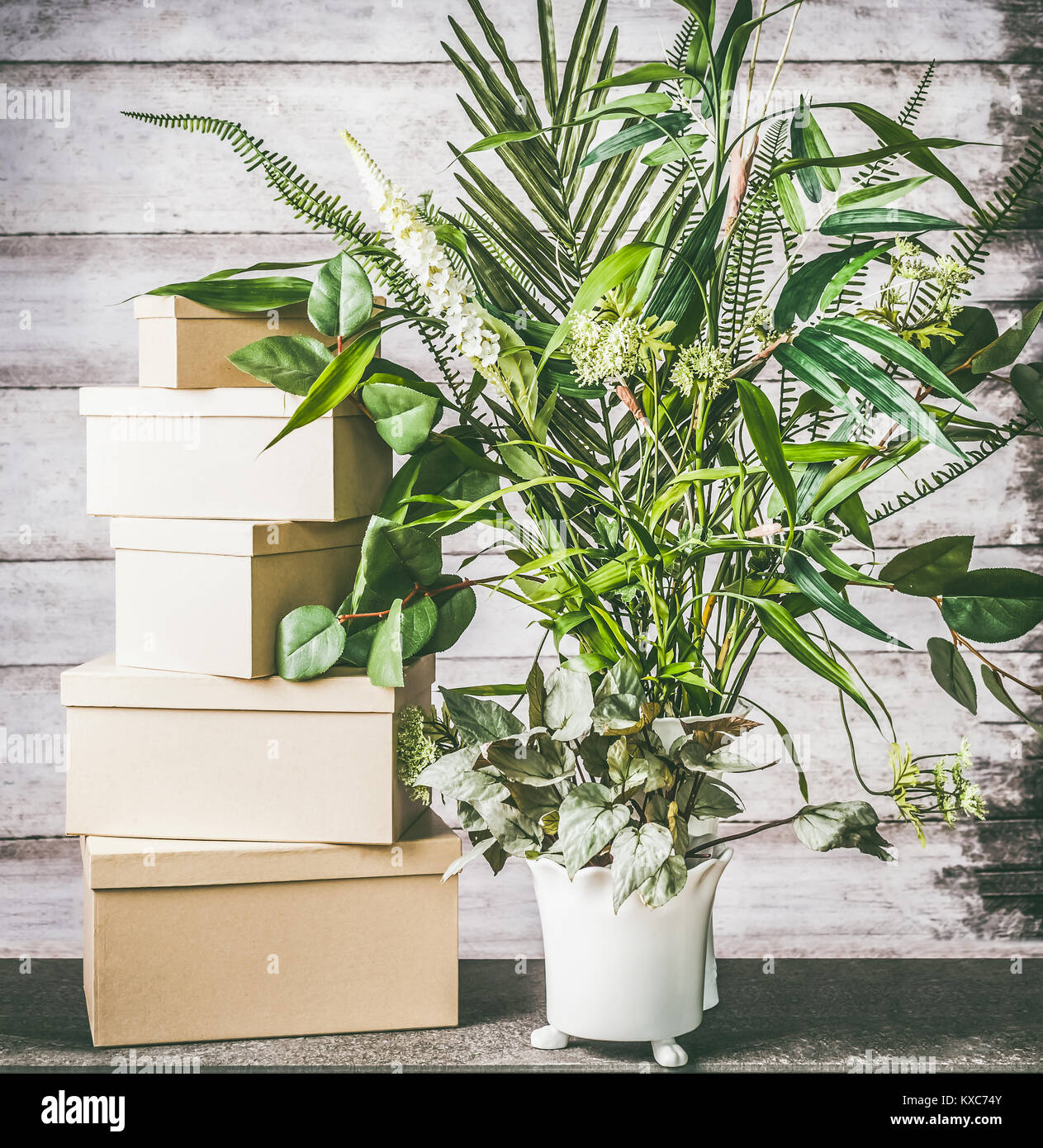 Green house plants in pots on table with carton boxes, front view Stock ...