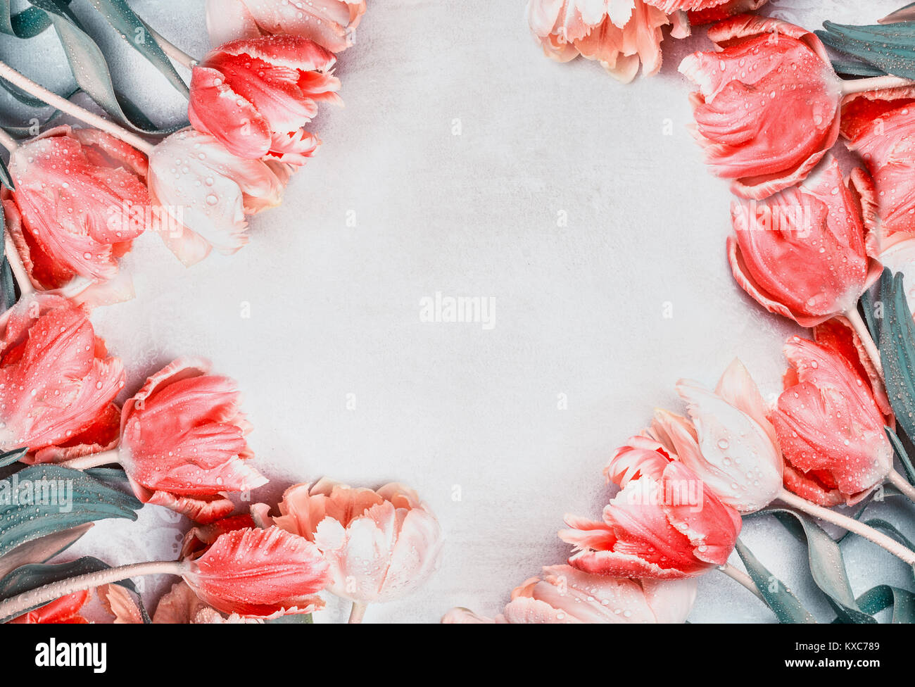 Lovely tulips frame, spring flowers background Stock Photo - Alamy