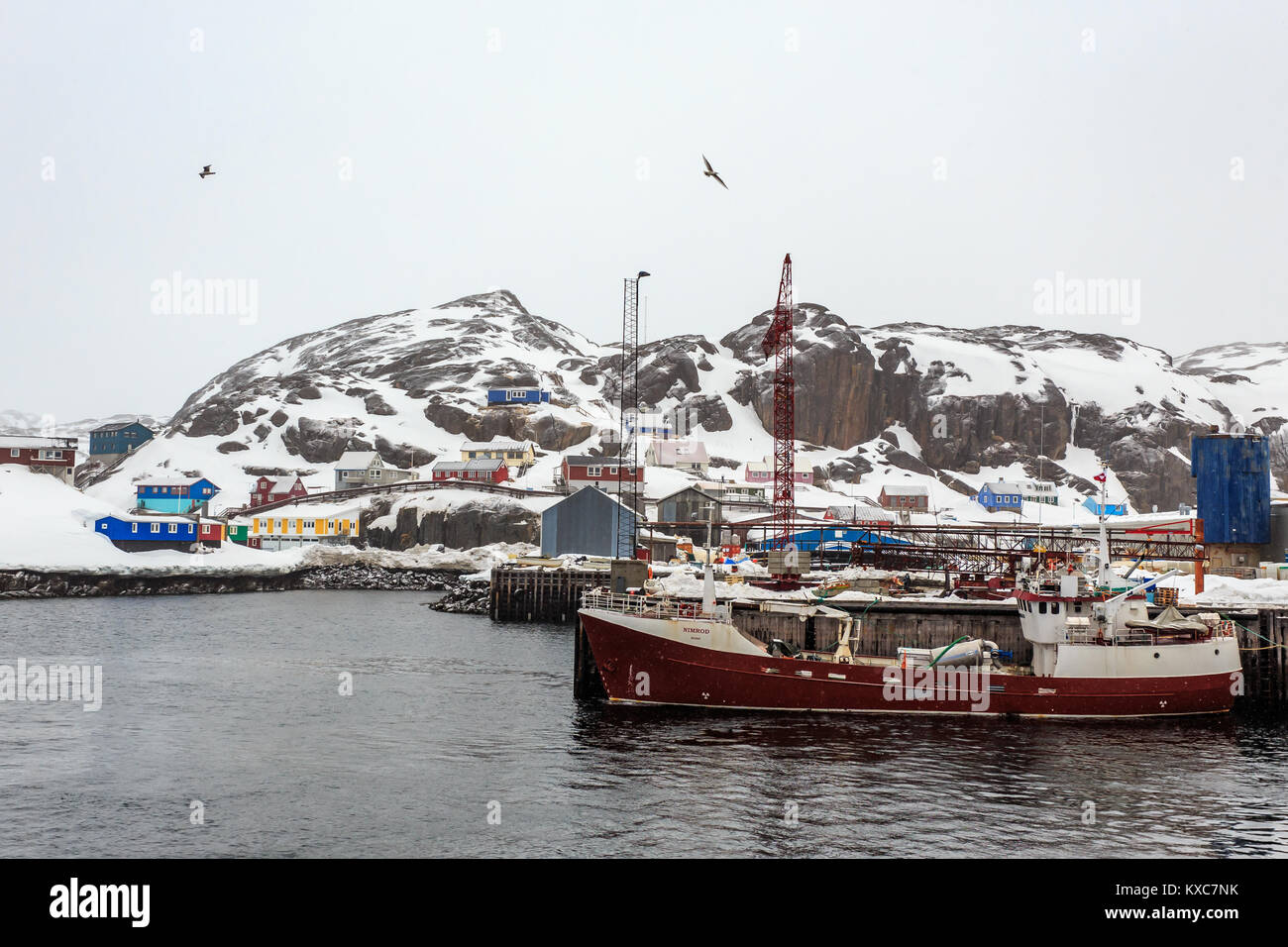 Fishing boat at the pier of Maniitsoq village with colorful houses on ...