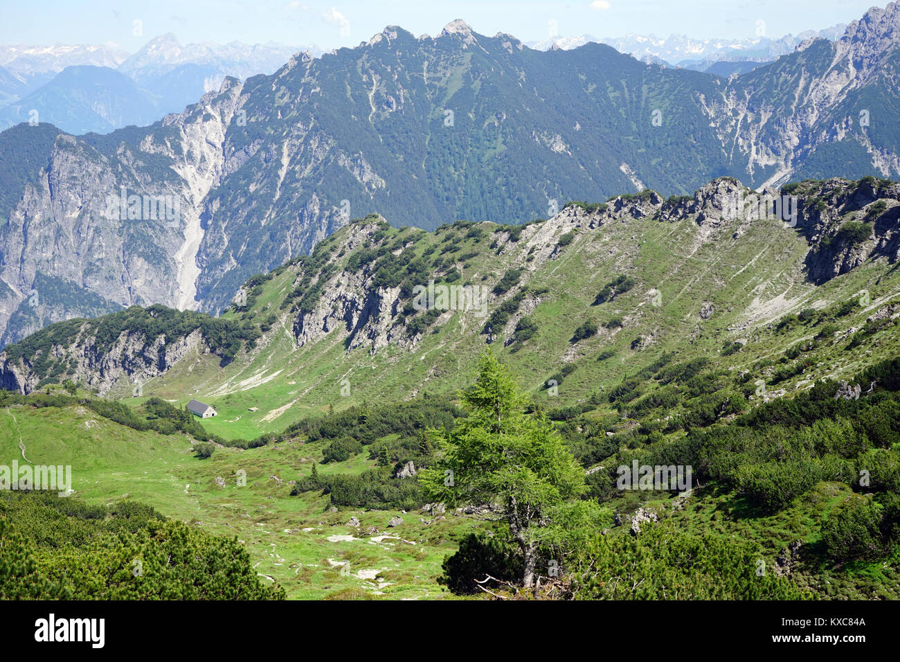 Farm house, field and forest in Lihtenstein Stock Photo - Alamy