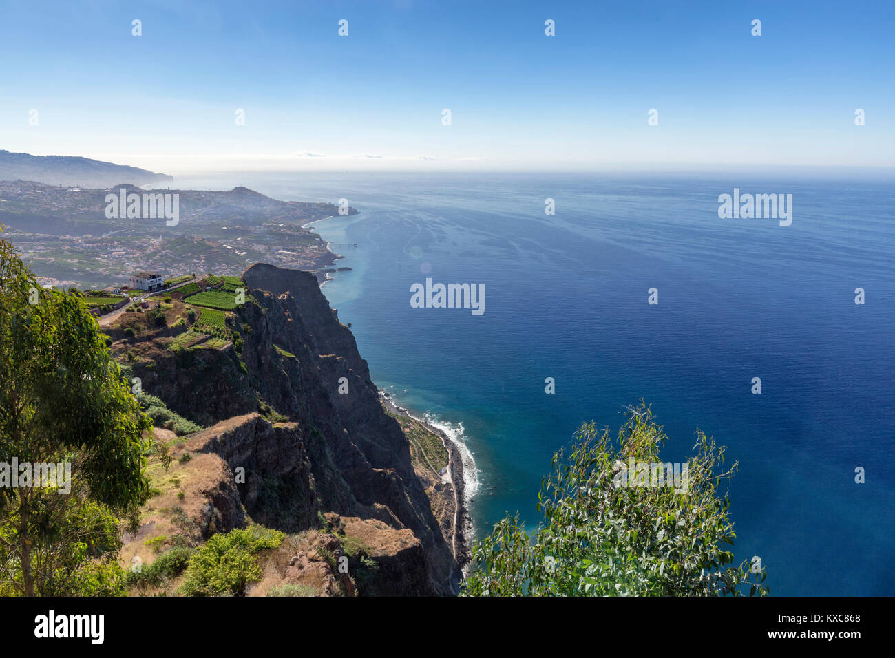 Dramatic cliffs on the island of Madeira, Portugal Stock Photo - Alamy
