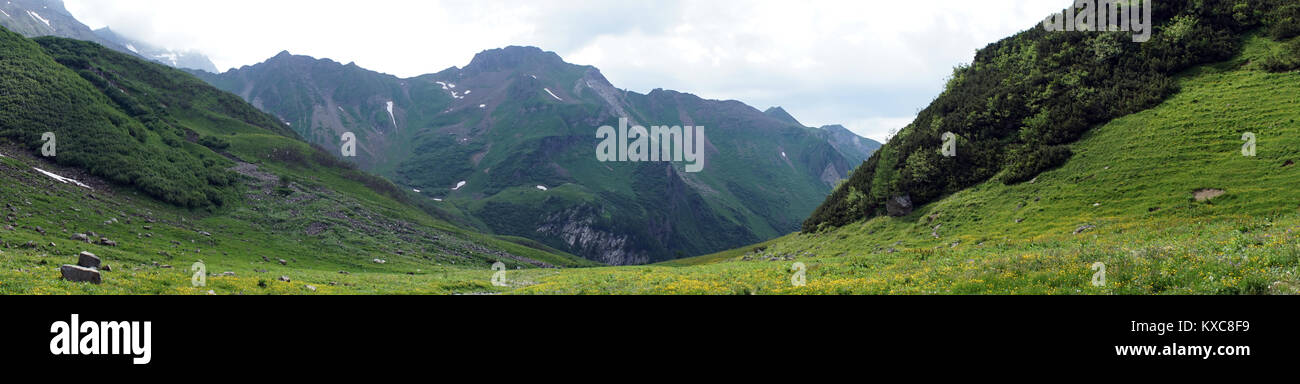 Green grass in mountain valley in Lichtenstein Stock Photo - Alamy