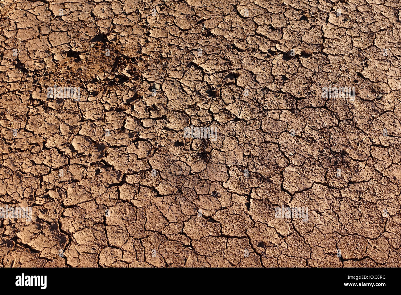 Background of dried cracked earth Stock Photo - Alamy