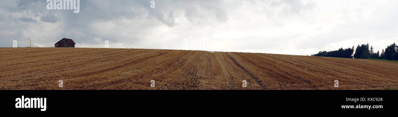 Panorama of wheat field after harvest in Germany Stock Photo - Alamy