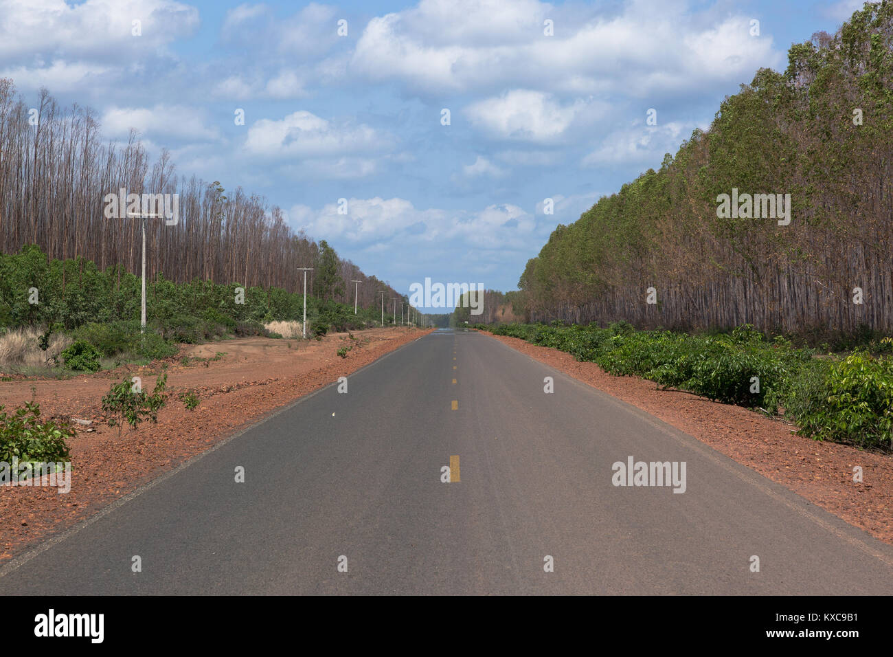 Cerrado deforestation hi-res stock photography and images - Alamy