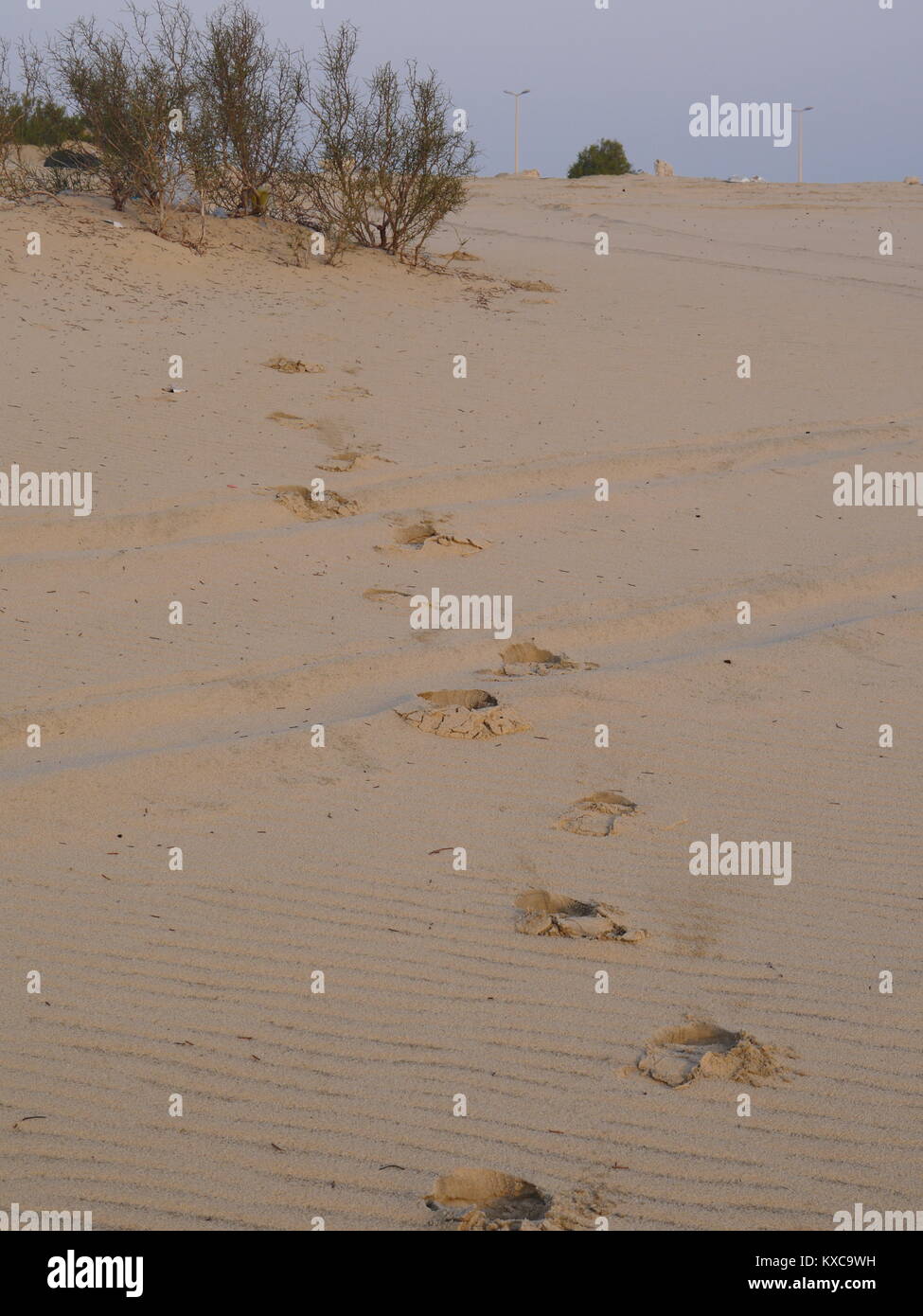 Saudi desert sunset hi-res stock photography and images - Alamy