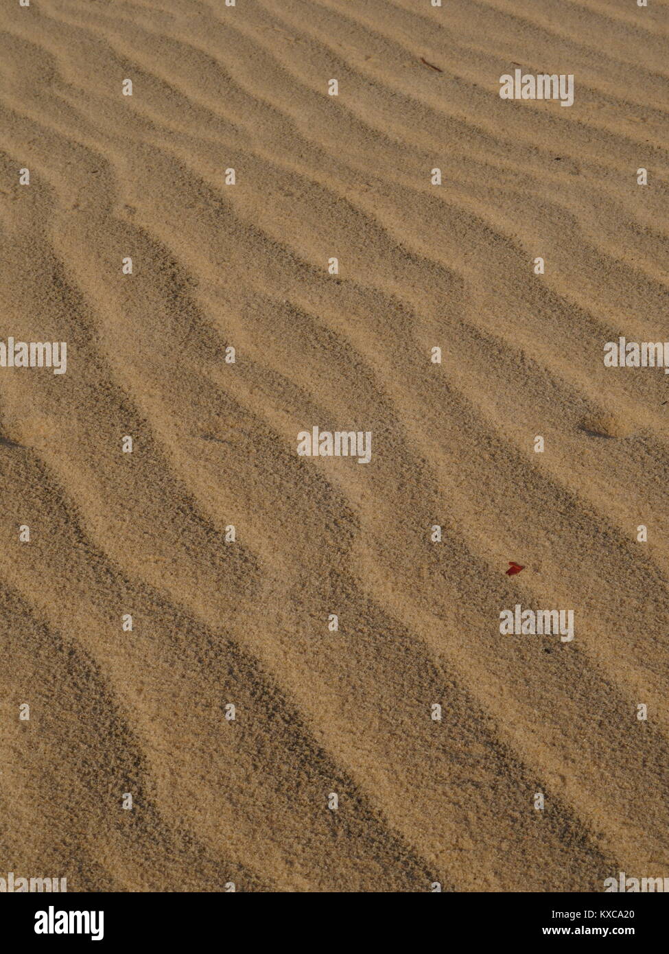 Saudi Arabia Desert full of sand hills and sand dunes and all over ...