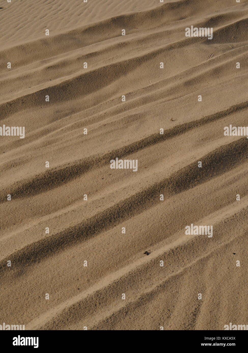Saudi Arabia Desert full of sand hills and sand dunes and all over ...
