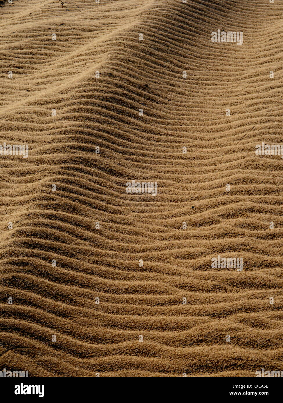 Saudi Arabia Desert full of sand hills and sand dunes and all over ...