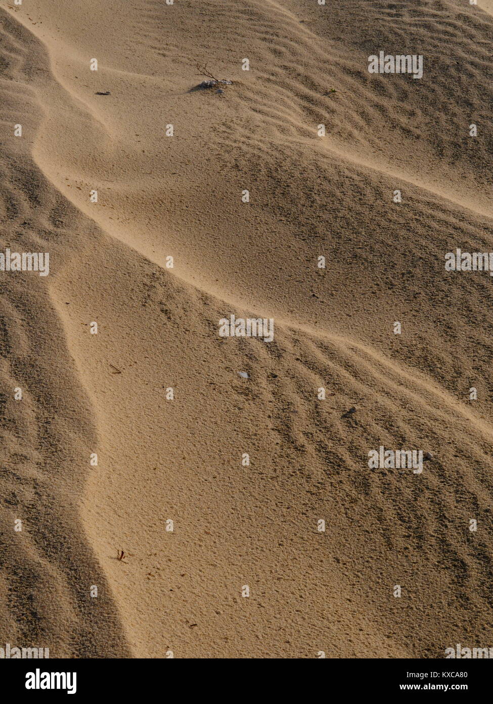 Saudi Arabia Desert full of sand hills and sand dunes and all over ...