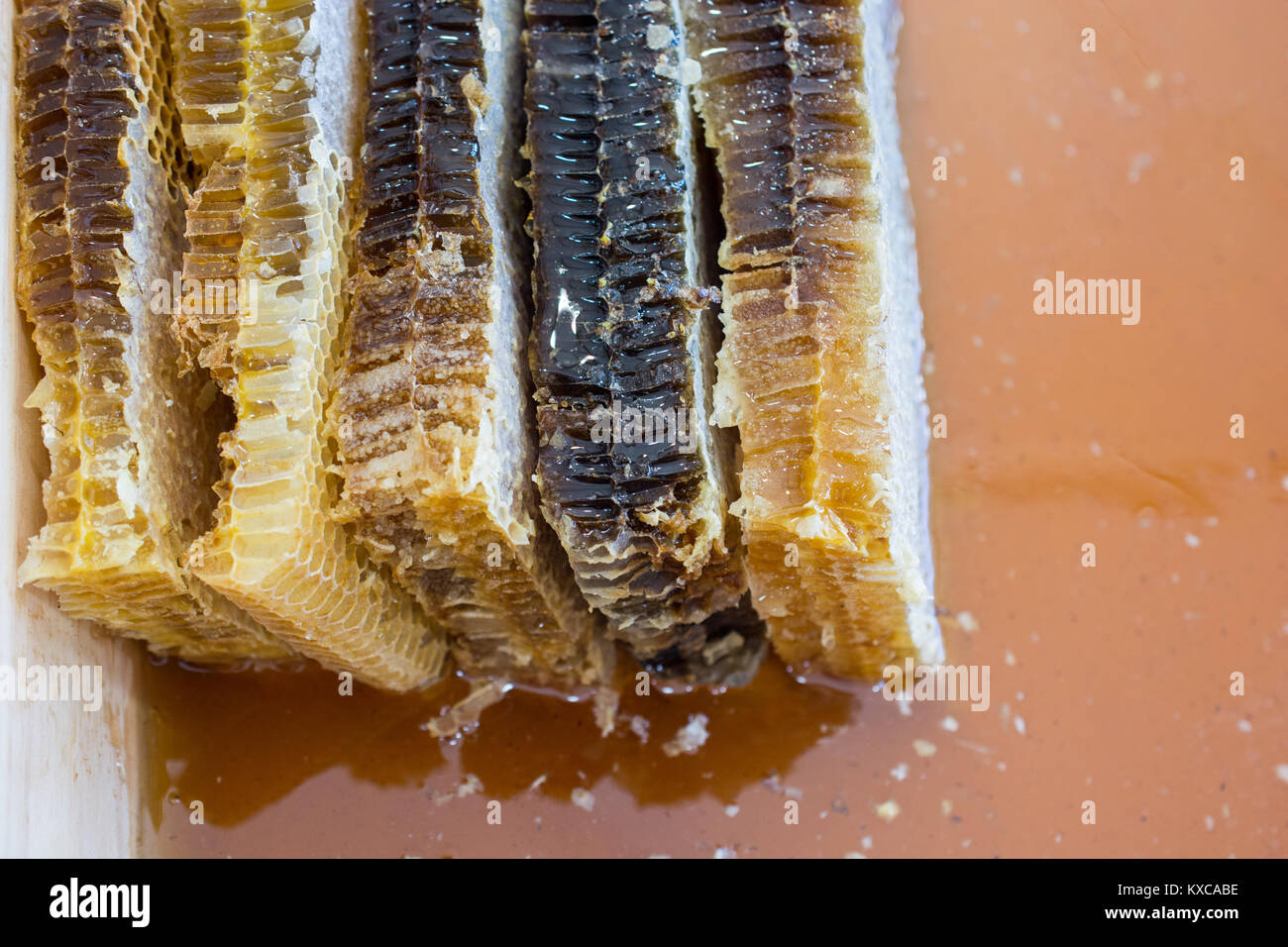 Fresh natural yellow honey in liquid form Stock Photo - Alamy
