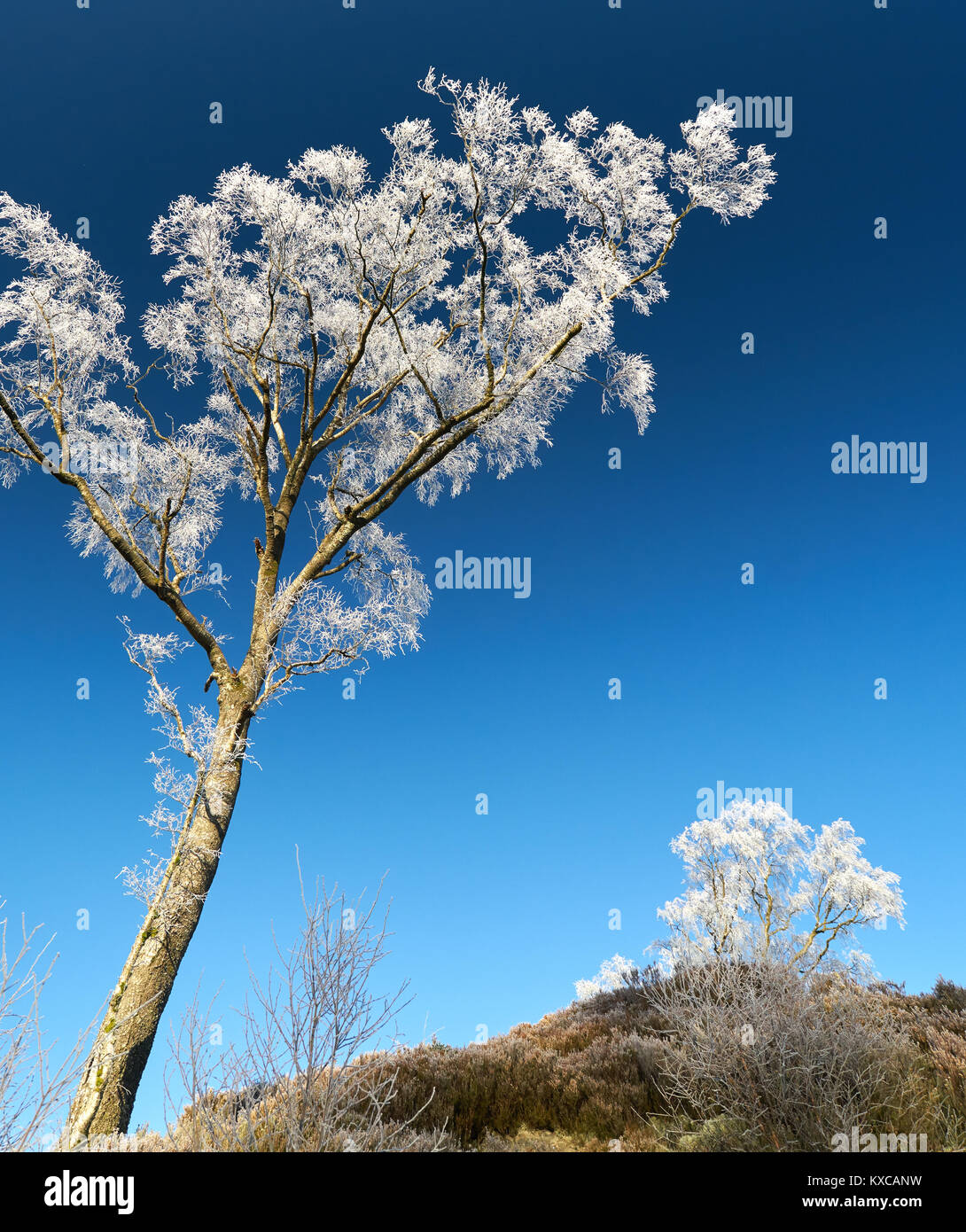 Clear Blue Sky Cloudless Weather High Resolution Stock Photography and ...