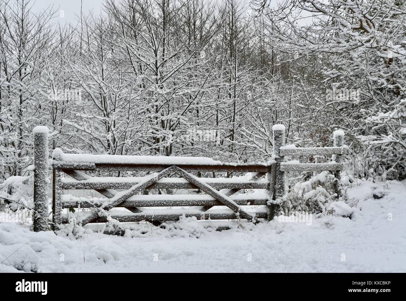 Covered gate hi-res stock photography and images - Alamy