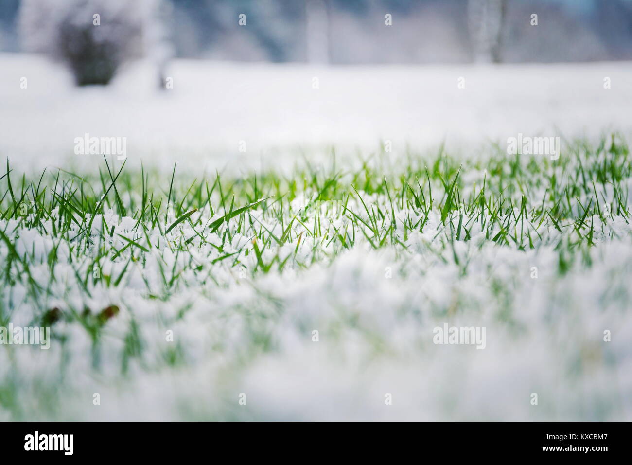 Hello spring concept hi-res stock photography and images - Alamy