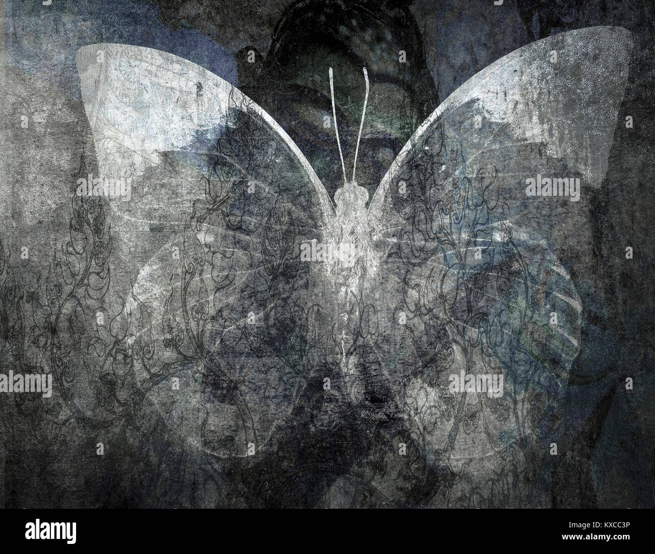 Butterfly wing texture abstract decorative hi-res stock photography and ...