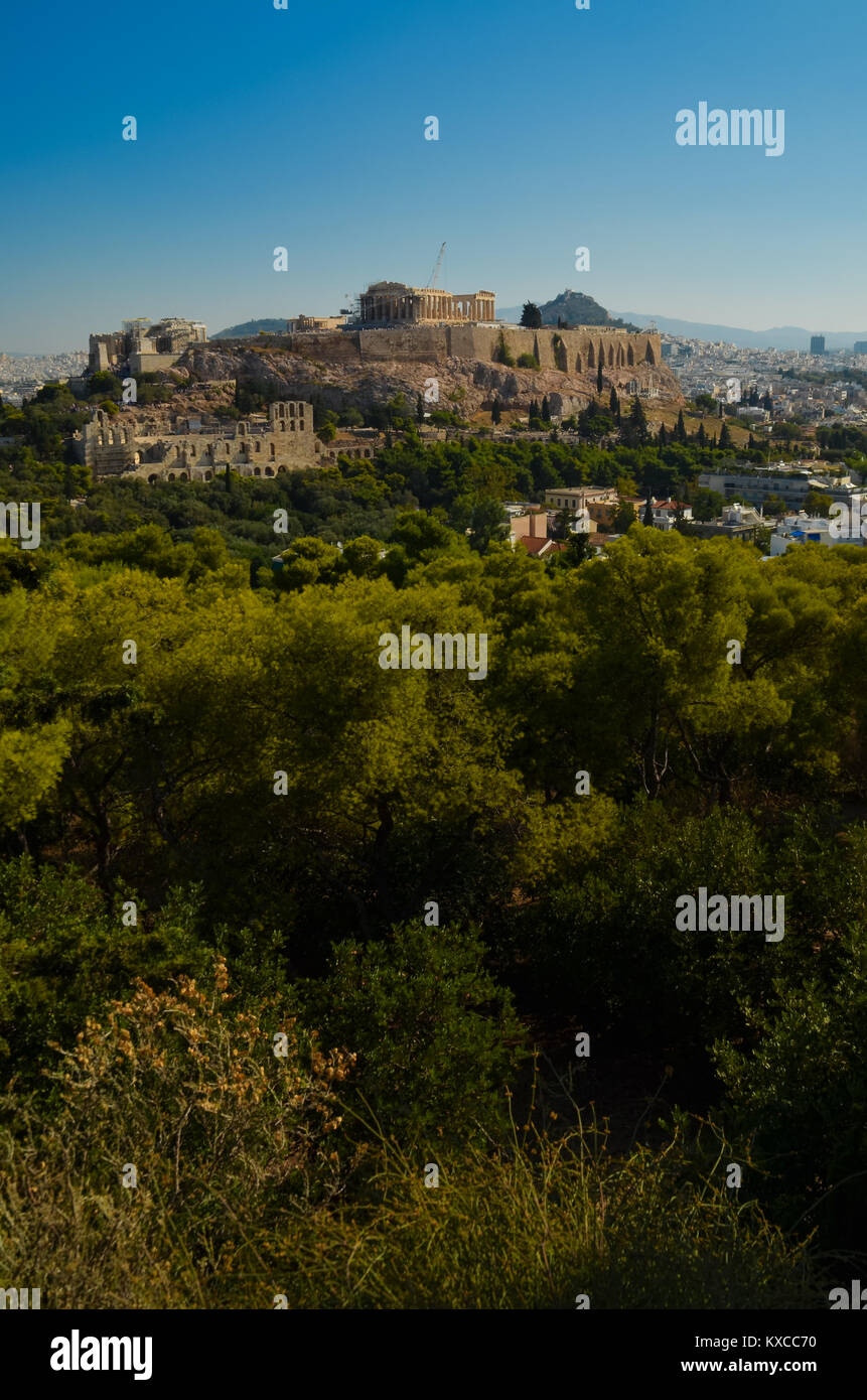 Parthenon acropolis among pine trees Athens Greece Stock Photo - Alamy