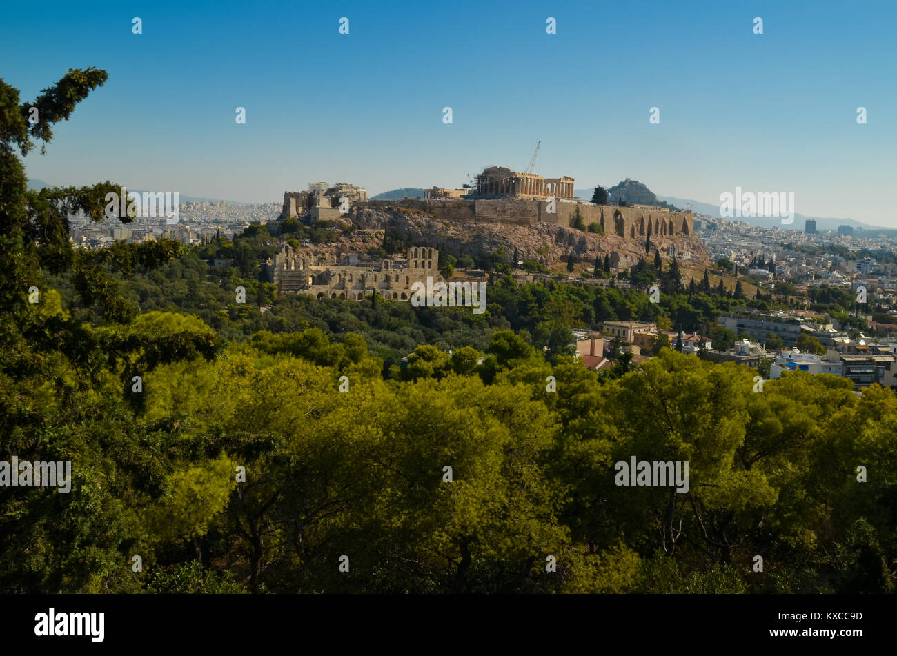 Parthenon acropolis among pine trees Athens Greece Stock Photo - Alamy