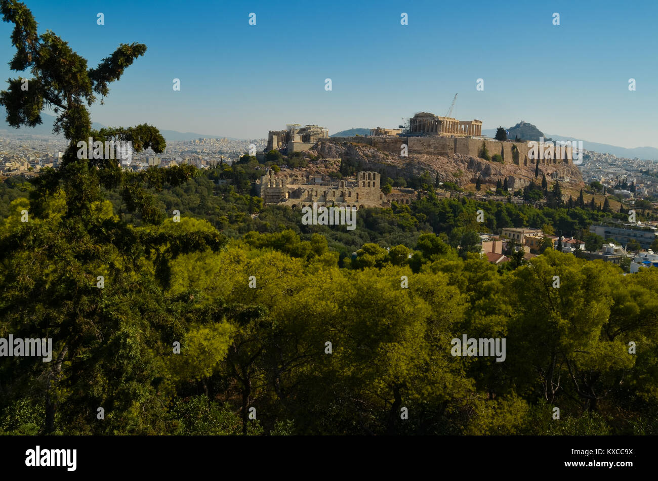 Parthenon acropolis among pine trees Athens Greece Stock Photo - Alamy