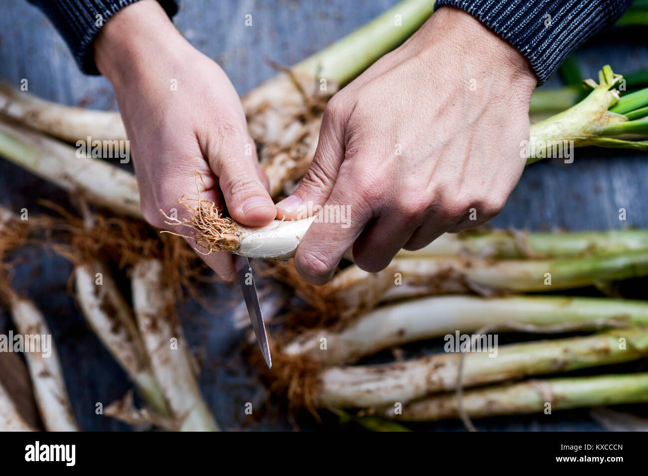 Roots grill hi-res stock photography and images - Alamy