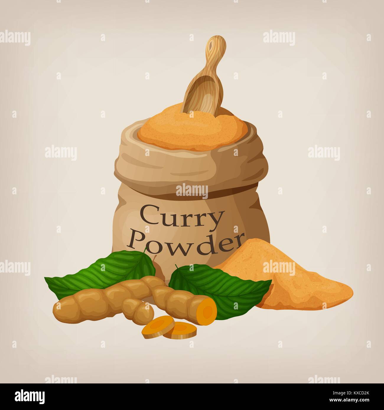 Curcuma longa root Stock Vector Images - Alamy