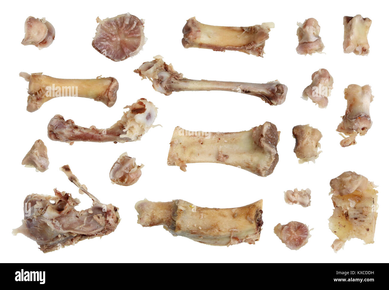 Fried chicken cartilage hi-res stock photography and images - Alamy