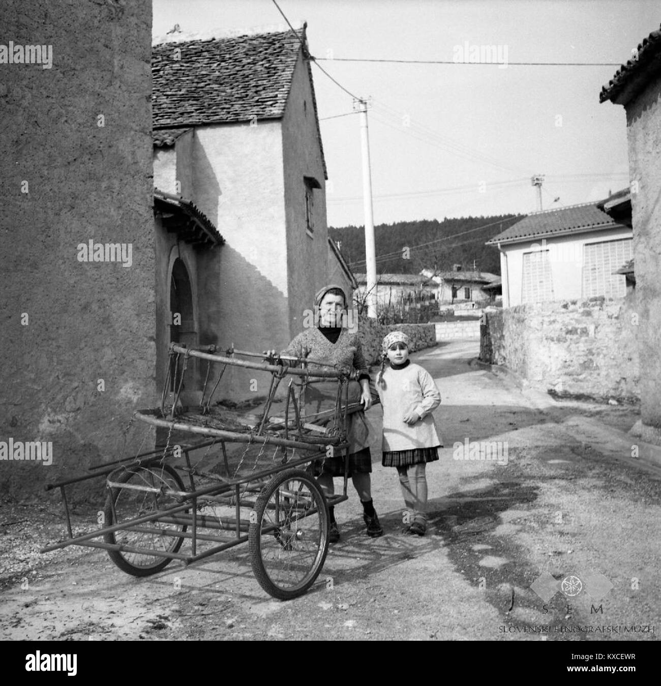 Leaf collection hi-res stock photography and images - Alamy