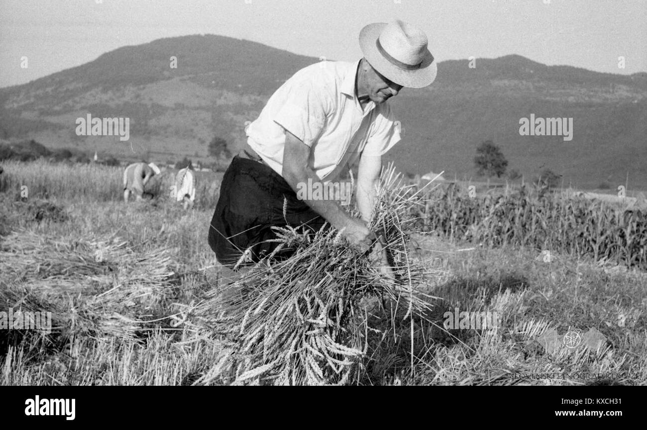 Iga vas hi-res stock photography and images - Alamy