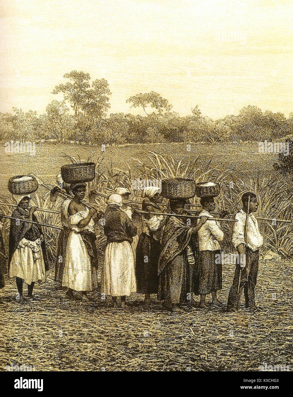 'A partida para a roça' by Victor Frond is a detailed artwork capturing ...