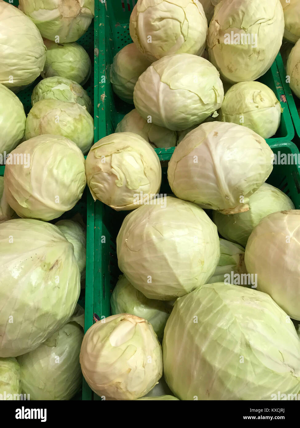 Heads cabbage in boxes Stock Photo - Alamy