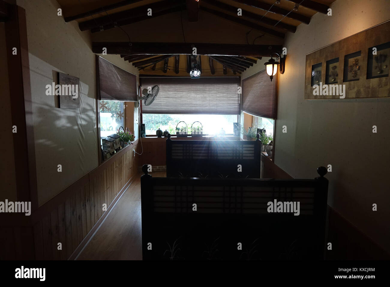 This image file, with the name DSC02452, was captured on September 12 ...