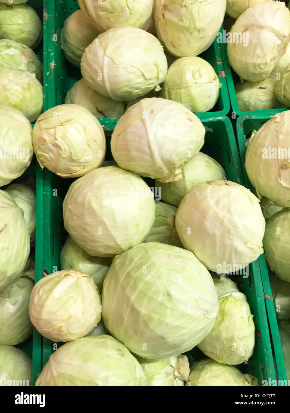 Heads cabbage in boxes Stock Photo - Alamy