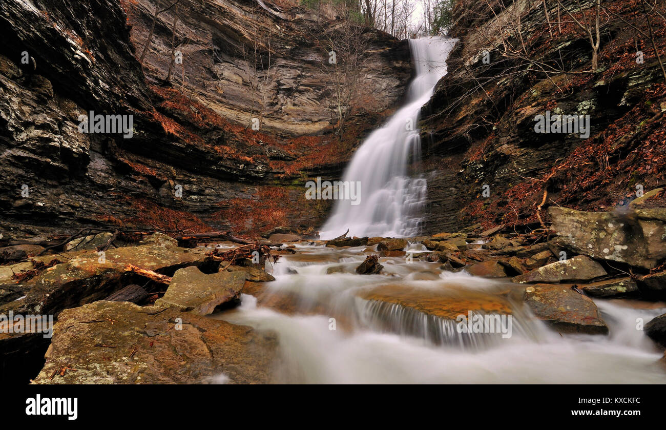 Cathedral Falls an iconic waterfall in West Virginia Stock Photo - Alamy