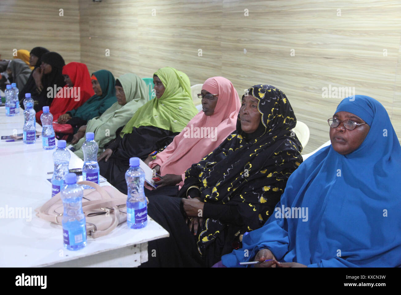 2016 25 Women Political Participation-6 (30458880042 Stock Photo - Alamy