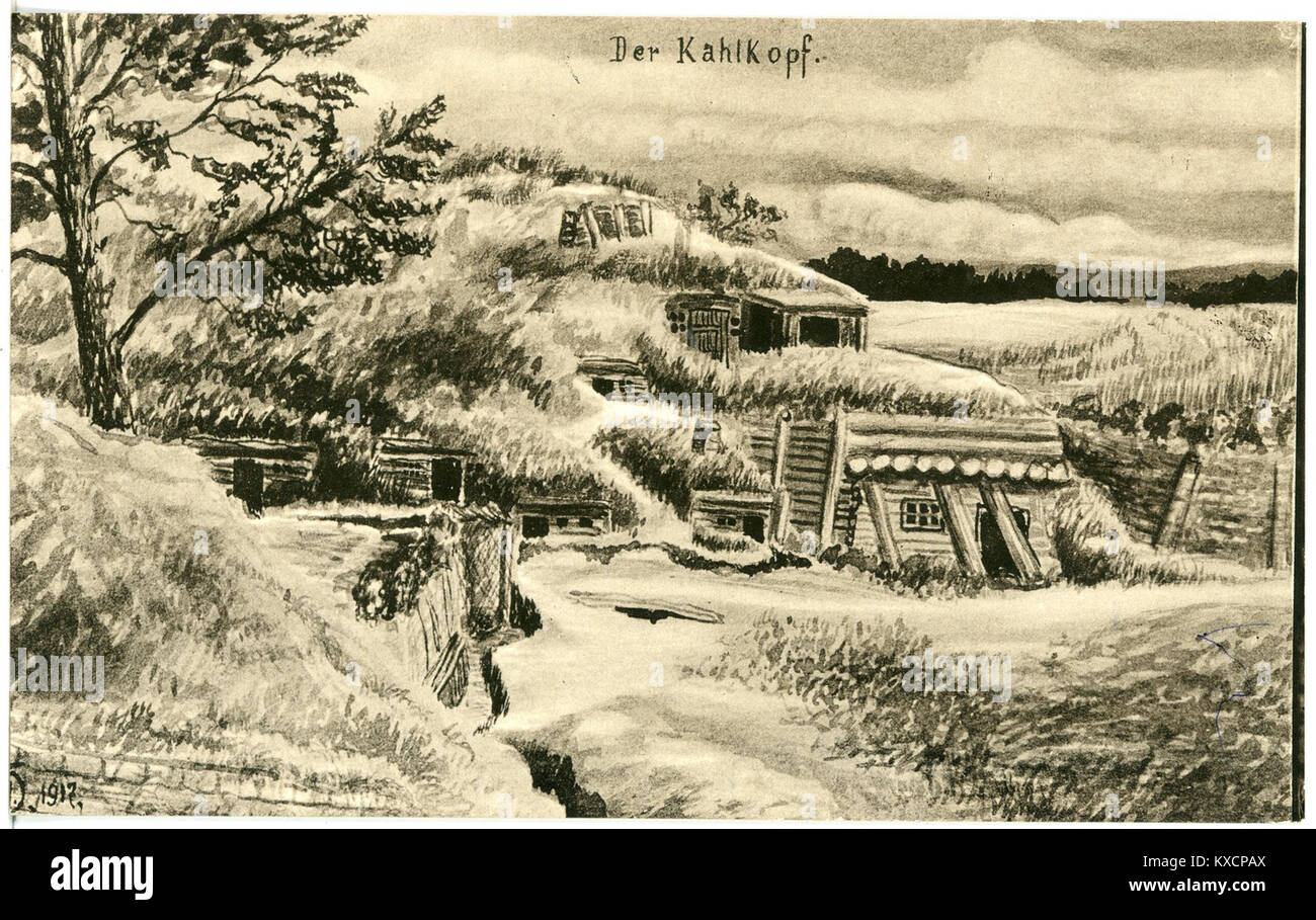 Kahlkopf hi-res stock photography and images - Alamy