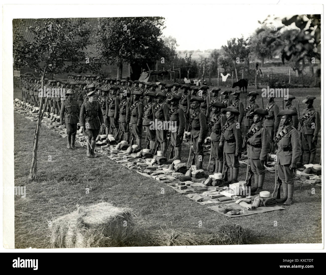 Military inspection during wwi hi-res stock photography and images - Alamy