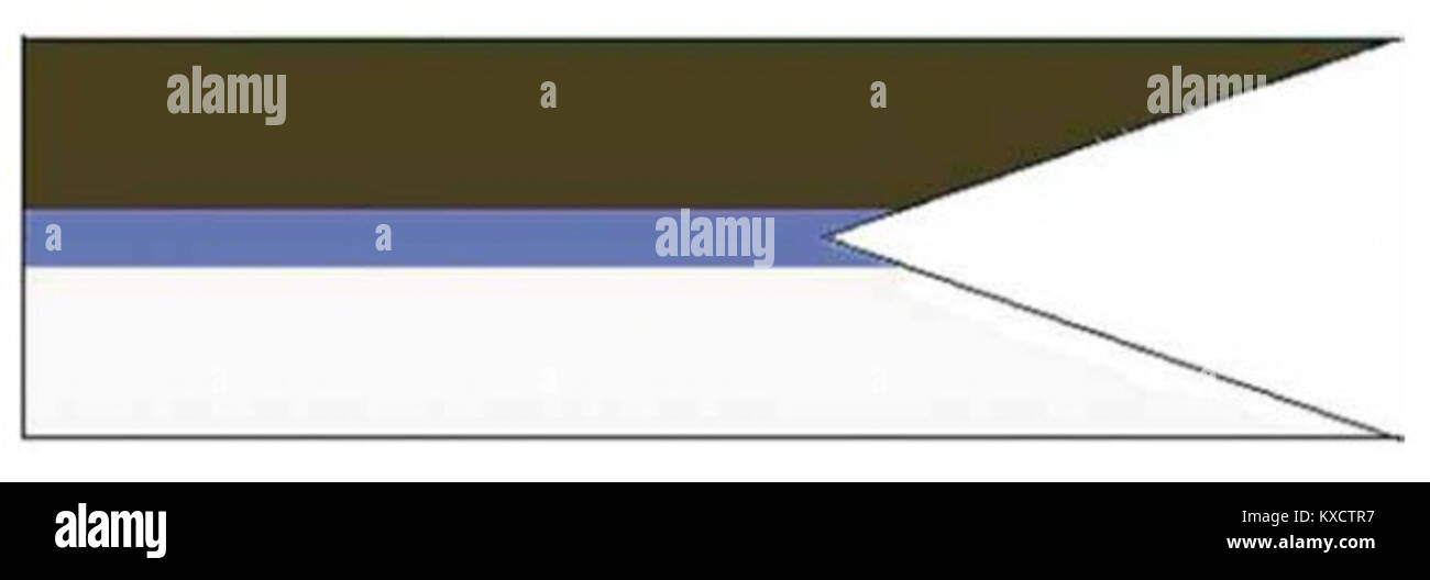 This refers to the emblem of the 1st Mechanized Battalion of the 7th ...