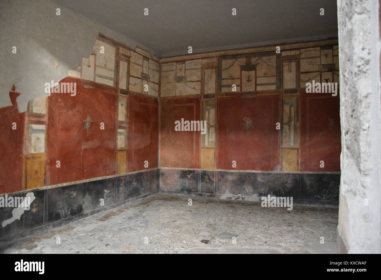 Fullery pompeii hi-res stock photography and images - Alamy