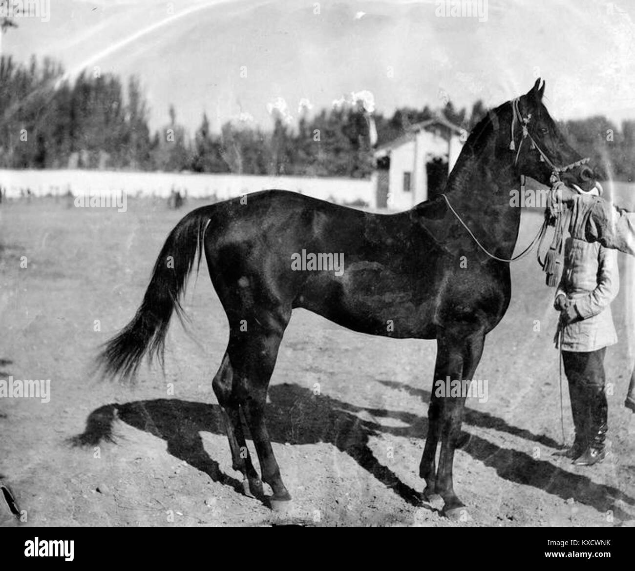 25th image Black and White Stock Photos & Images - Alamy