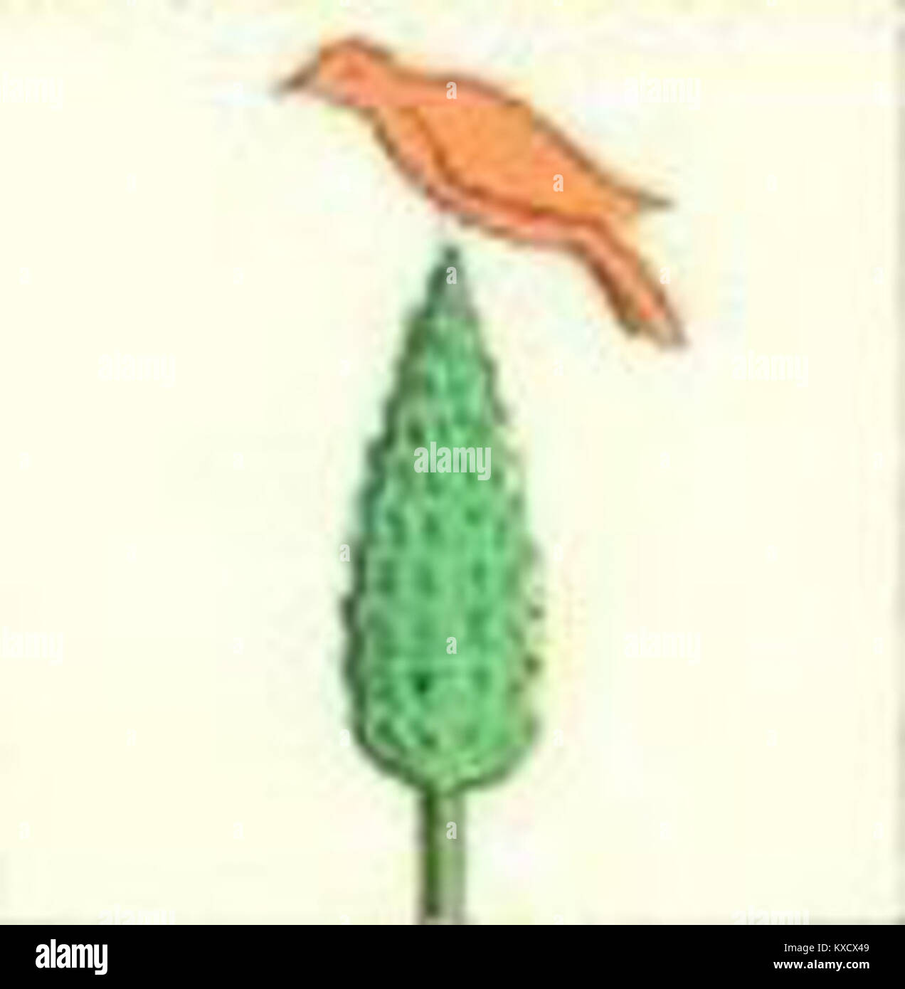 A photograph of a tattoo featuring a 'balk' emblem, showcasing the ...