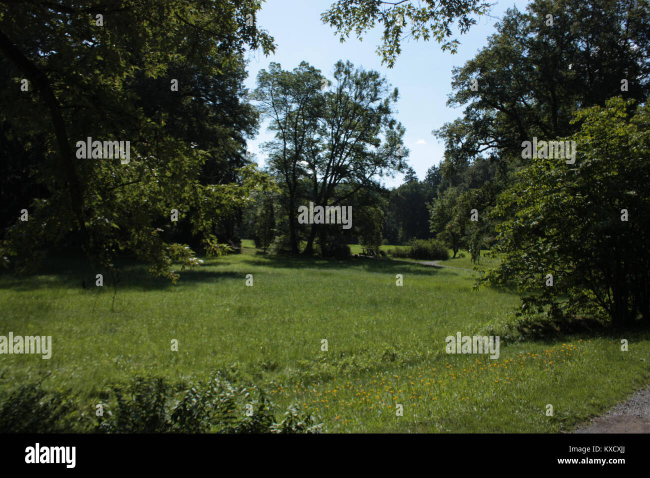 Short textual entry likely representing a code string or dataset identifier; no descriptive ...