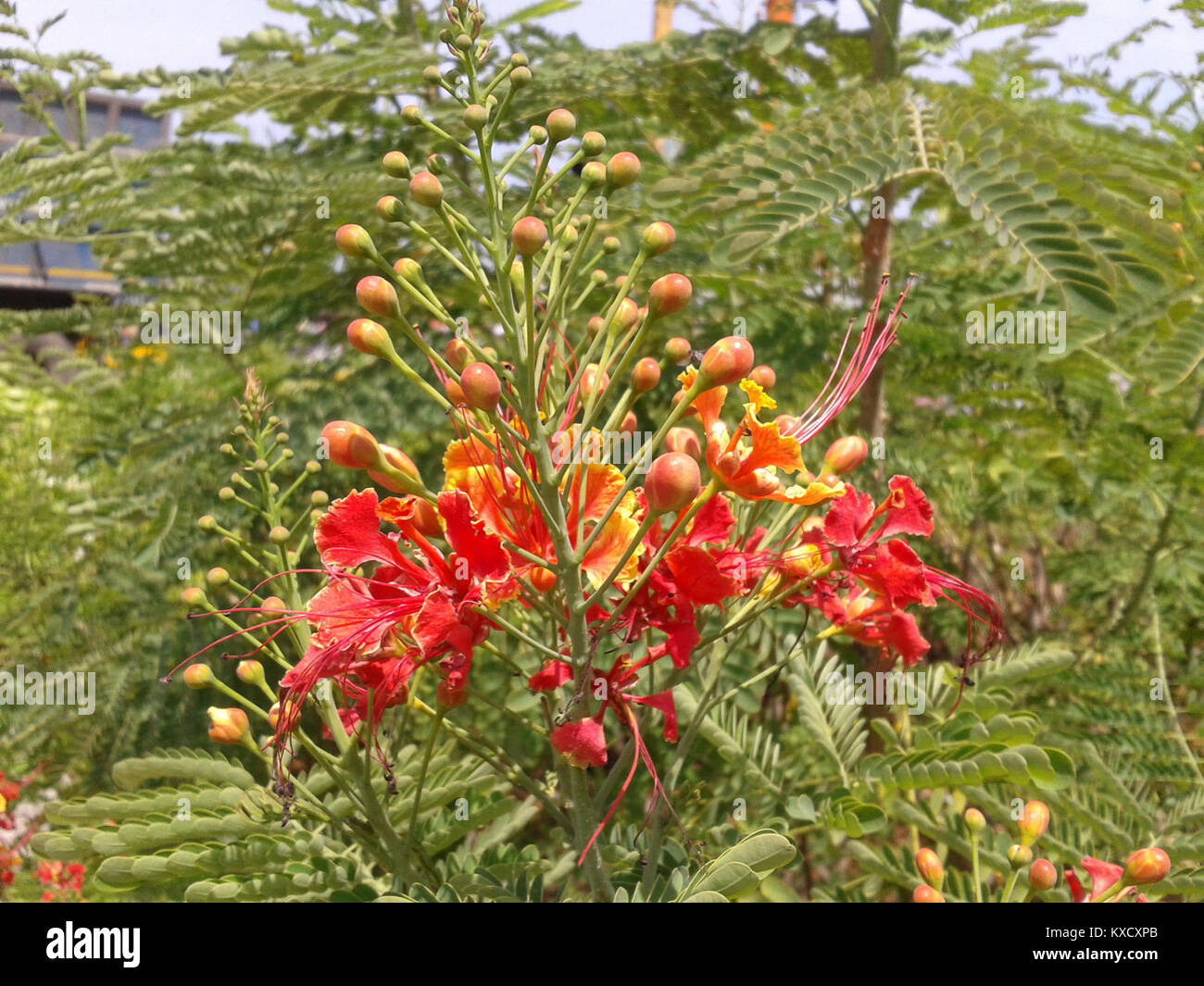 The Title Appears Incomplete Or Unclear And Further Context Is Needed To Provide An Accurate