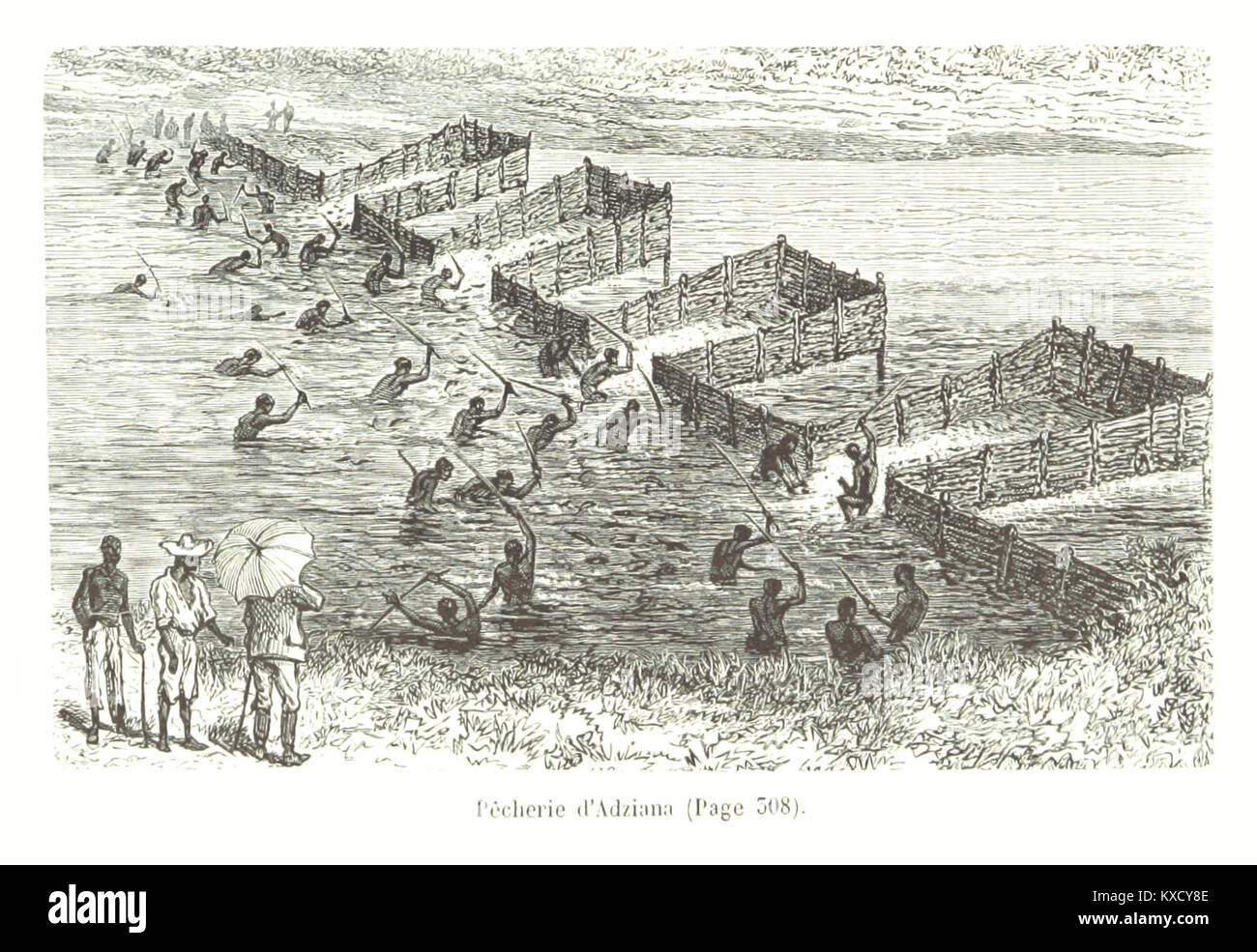 Fish infrastructure Cut Out Stock Images & Pictures - Alamy