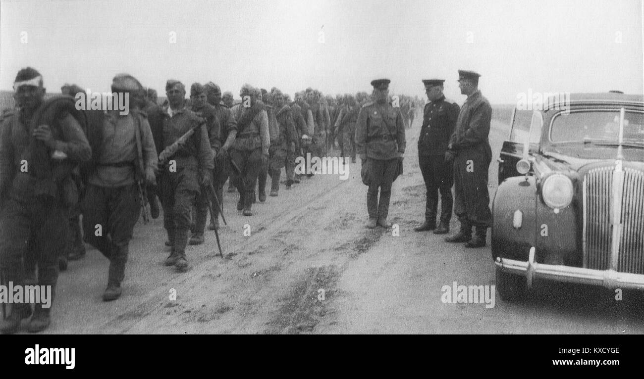 The Title Is Unclear Requiring Additional Context To Provide A Proper Caption And Further